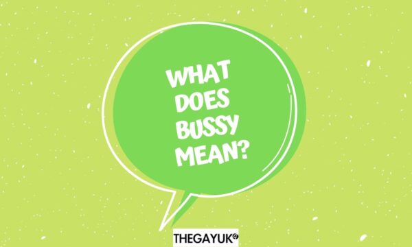 What does Bussy mean and is it offensive? - THEGAYUK